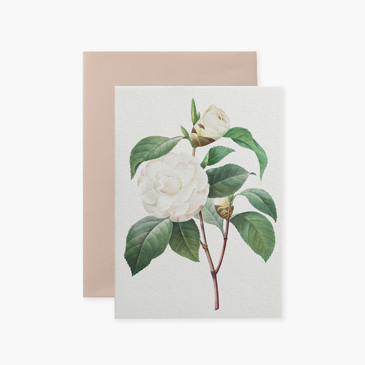 Kartka Big Flower II – Biała kamelia